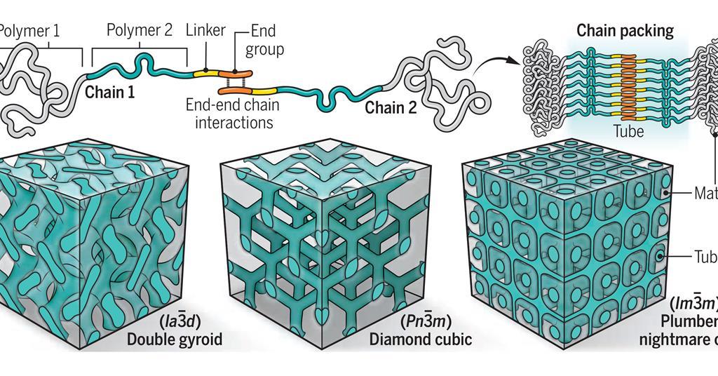 Thermodynamically stable ‘plumber’s nightmare’ structure self-assembles ...