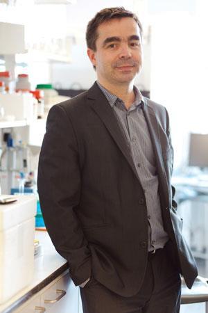 Chemistry redux | Feature | Chemistry World