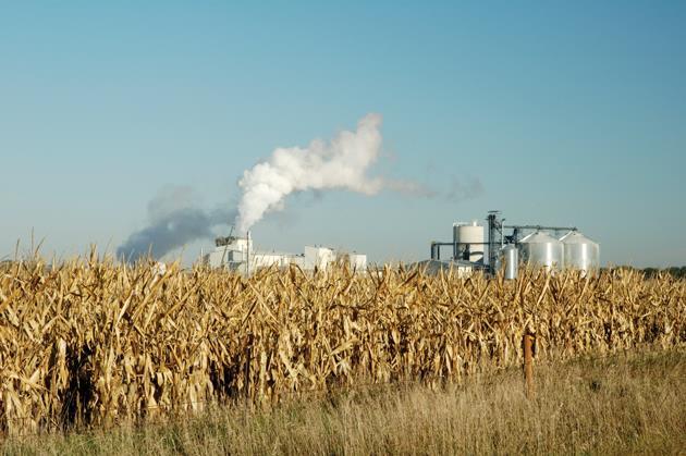 Bio-based chemicals on the rise in US | Business | Chemistry World