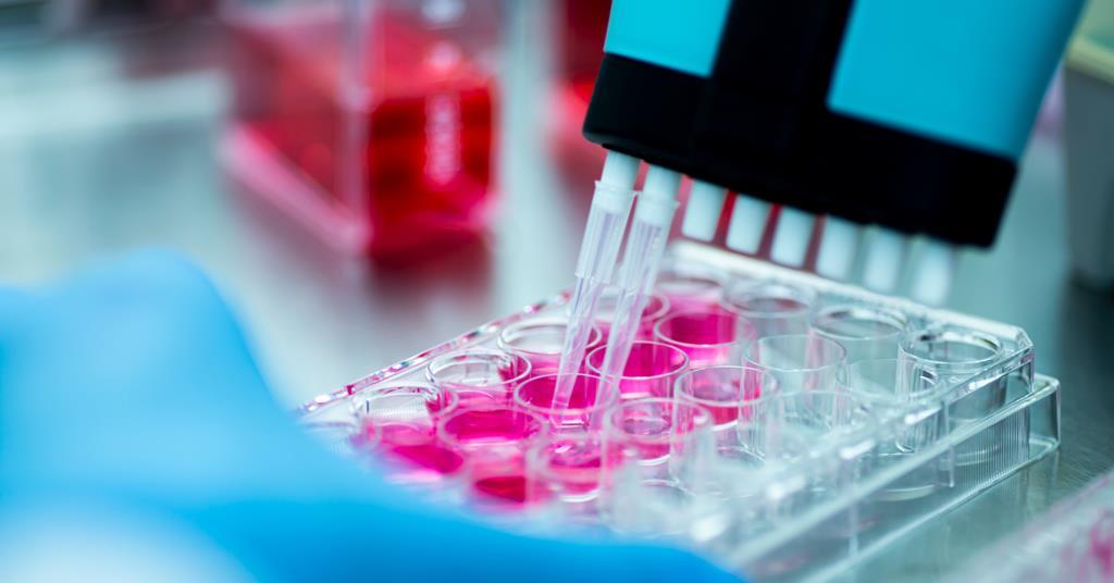 Optimise Drug Discovery Predicting Transporter Mediated Drug Interactions Whitepaper