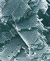 The impact of colloid science | News | Chemistry World