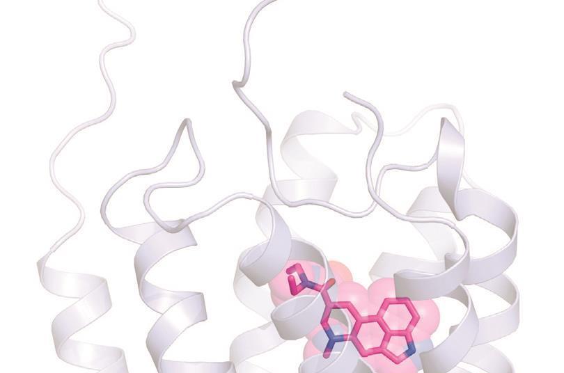 Crystal structure lifts lid on LSD’s secrets | Research | Chemistry World