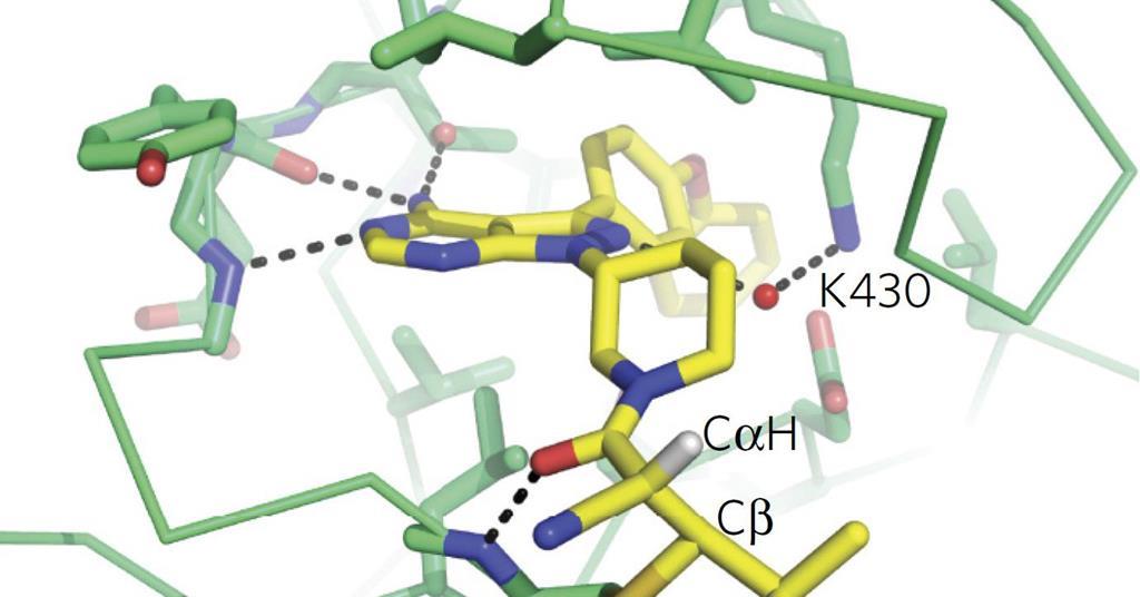 Covalent inhibitor drugs | Feature | Chemistry World