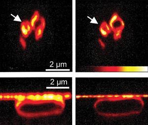 The resolution revolution | Feature | Chemistry World