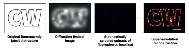 The resolution revolution | Feature | Chemistry World