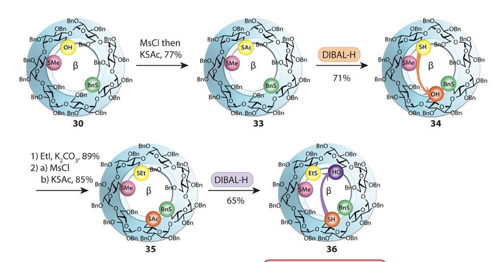 Programmed cyclodextrin synthesis picks out specific molecule from ...