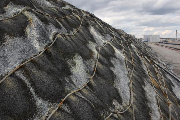 Microbial miners | Feature | Chemistry World