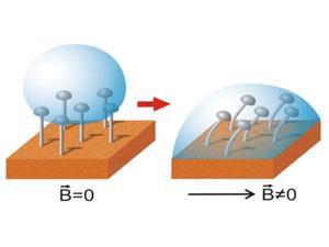 Remote controlled omniphobic surface | Research | Chemistry World