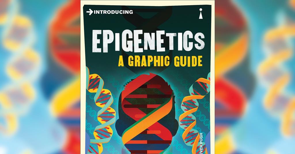 Introducing epigenetics: a graphic guide | Review | Chemistry World