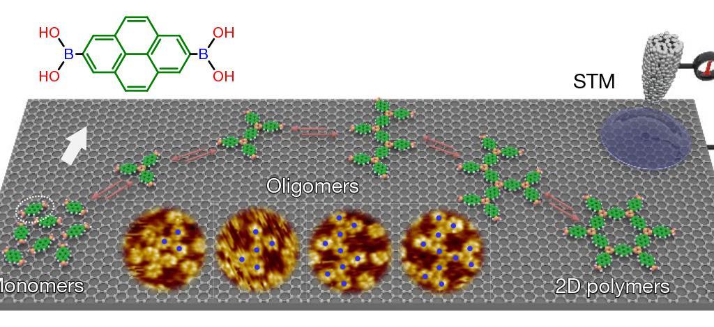 Microscopy unveils piece-by-piece formation of 2D covalent polymers ...