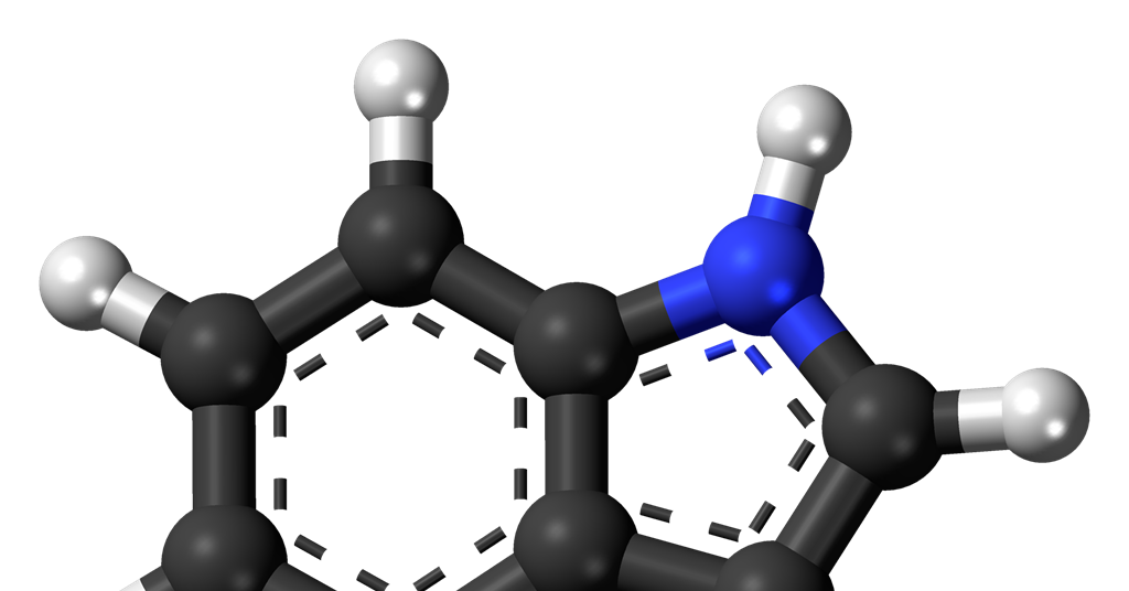 Heteroaromatic rings of the future | News | Chemistry World