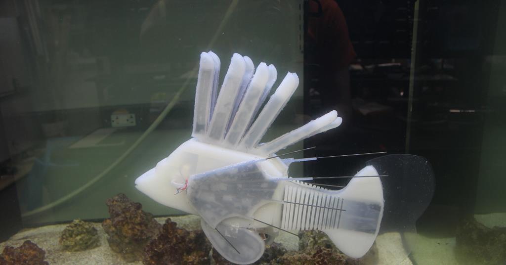 Robotic fish powered by hydraulic blood and two heart pumps | Research ...