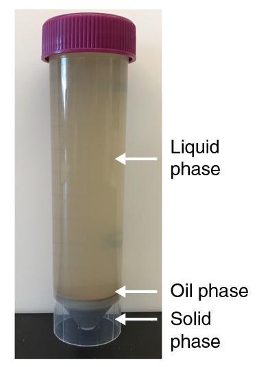 Engineered yeast can remove heavy metals from wastewater | Research ...