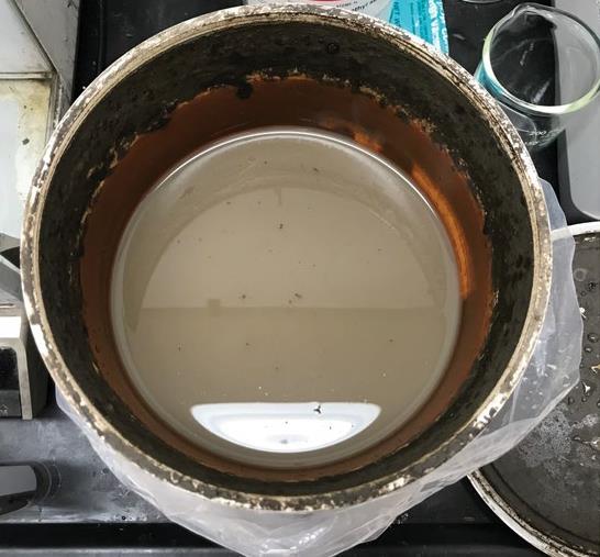 Engineered yeast can remove heavy metals from wastewater | Research ...