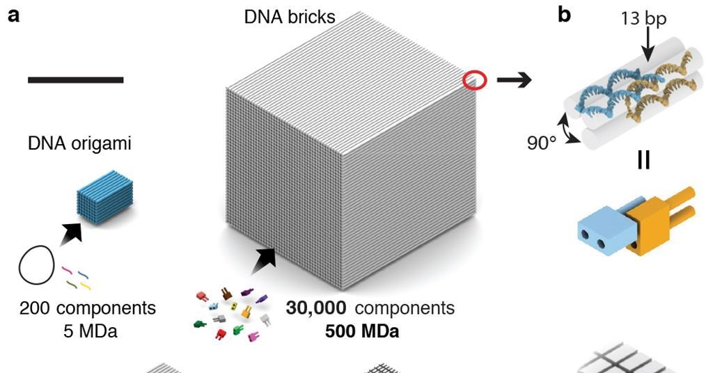 DNA origami makes it big | Research | Chemistry World