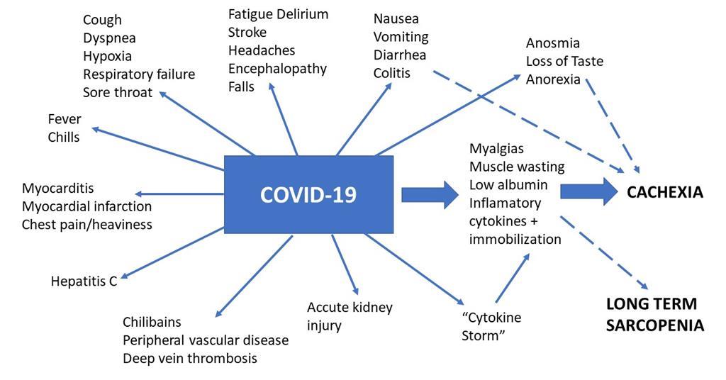 Knowledge from human relevant cell, tissue and mathematics-based ...