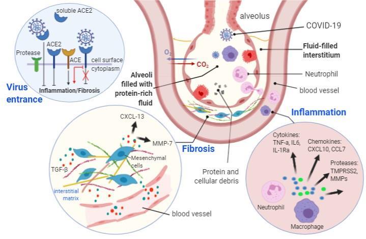 Knowledge from human relevant cell, tissue and mathematics-based ...