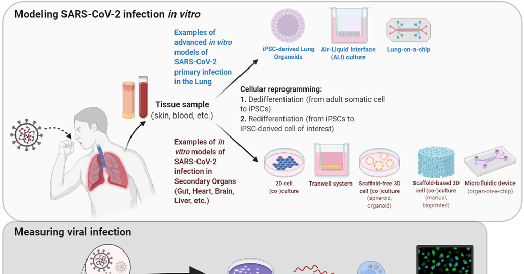 Knowledge from human relevant cell, tissue and mathematics-based ...
