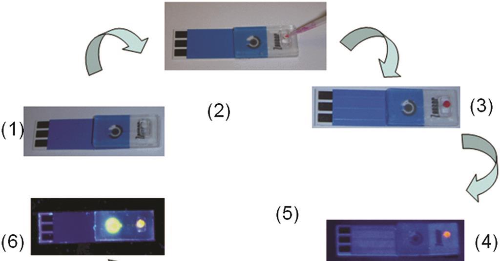 Sweet tear sensor could ease pain of diabetes | Research | Chemistry World