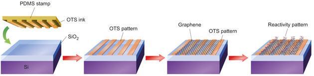 Graphene reactions driven by substrate not reactant | Research ...