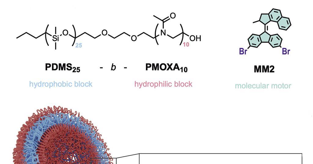 Light-activated molecular motor drives drug delivery | Article ...