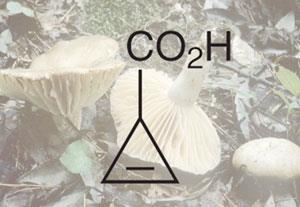 Toxic mushroom molecule discovered | News | Chemistry World
