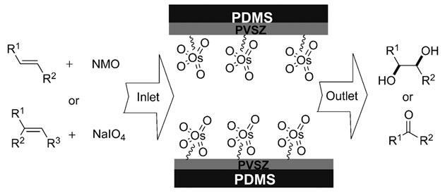 Osmium Tetroxide Mechanism