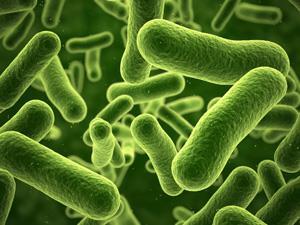 CDC lab safety weaknesses in spotlight again | News | Chemistry World