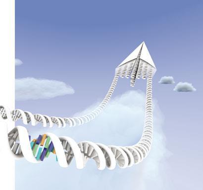 DNA motors on | Feature | Chemistry World