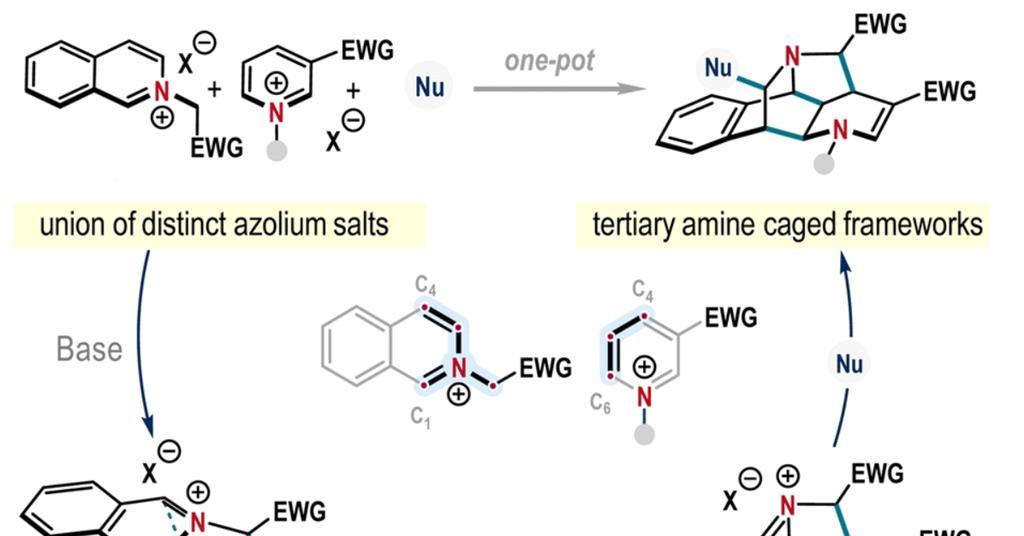 Cascade reaction brings a new dimension to amine synthesis | Research ...