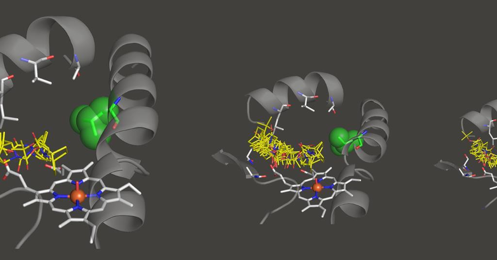 Diverse pharmaceutical building blocks prepared with evolved enzymes ...