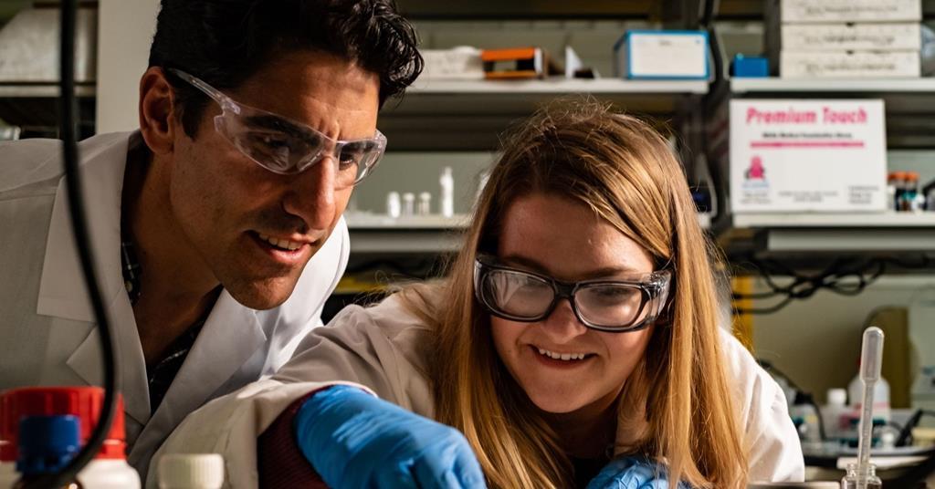 Liquid crystals shape up on demand | Research | Chemistry World