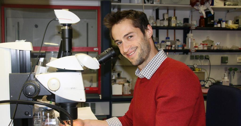 New high pressure allotrope of nitrogen solves a chemical mystery ...
