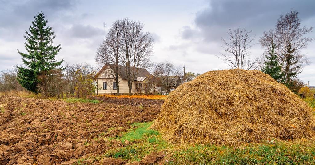 Finding a synthetic nanoparticle in a haystack | Research | Chemistry World