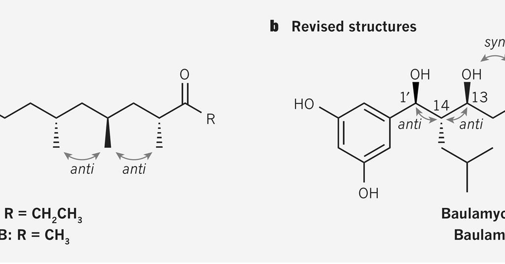 Structural sleuthing salvages superbug slayer | Research | Chemistry World