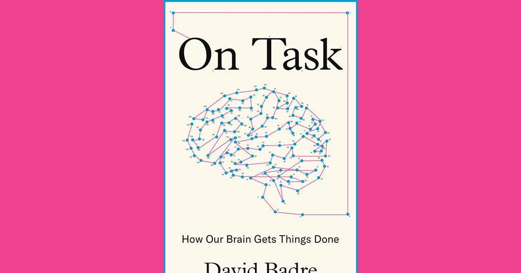 On Task: How Our Brain Gets Things Done | Review | Chemistry World