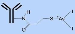 Arsenic enhances cancer imaging | News | Chemistry World