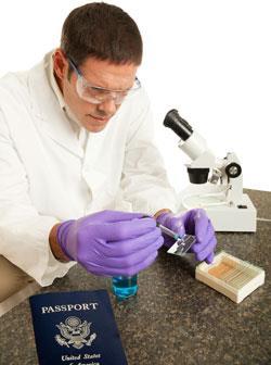 UK government sets aside 1000 places for top researchers | News ...