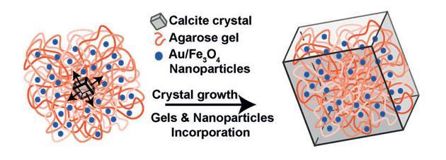 Nanoparticle composites make colourful magnetic crystals | Research ...