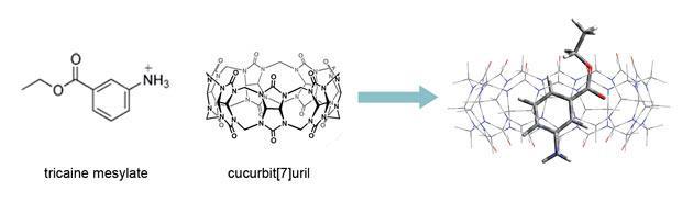 Molecular container mops up tricaine to reverse anaesthesia in fish ...