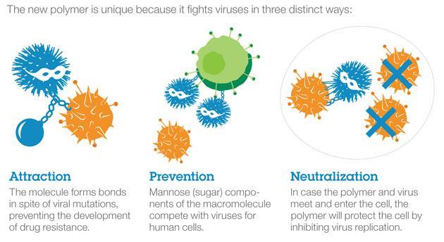 Infographic Viral Compound Interest: How Does The Oxford & AstraZeneca