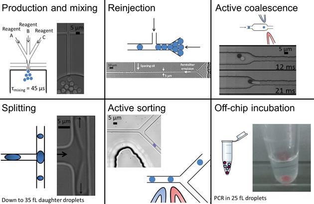 Femtofluidic droplet manipulation now possible | Research | Chemistry World