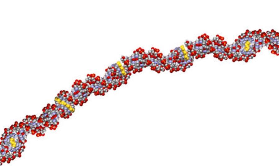 Gold chains give DNA semiconducting powers | Research | Chemistry World