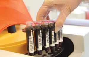 The one-stop science shop | Feature | Chemistry World