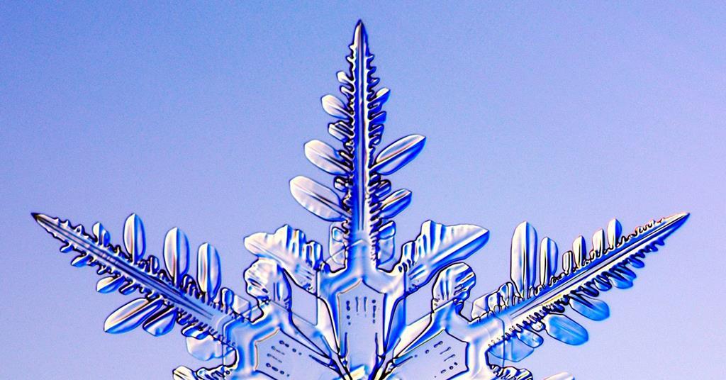 Snowflake Symmetry | Opinion | Chemistry World