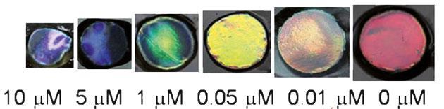 Colourful metal detection | Research | Chemistry World