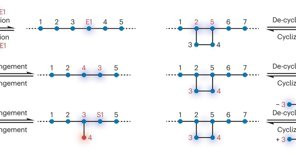 Editing polymer backbones | Feature | Chemistry World Editing polymer backbones | Feature | Chemistry World