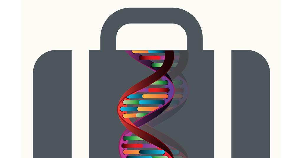 DNA suitcases packed with gene therapy cargo | Research | Chemistry World