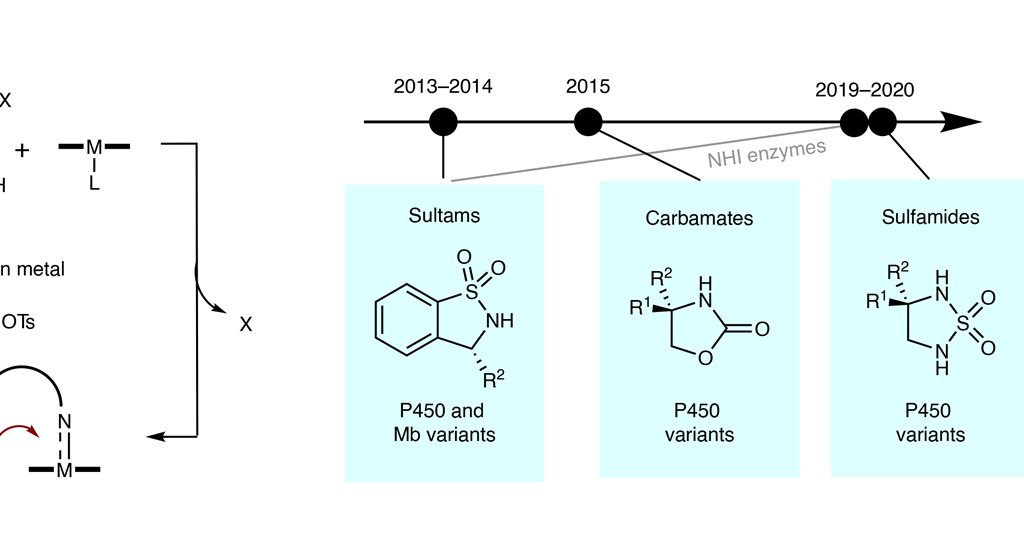 Biocatalysis breakthrough enables synthesis of lactam building blocks ...
