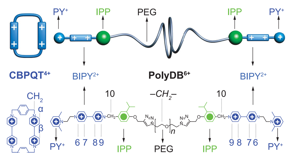 Molecular machine enables polyrotaxane synthesis with unprecedented ...